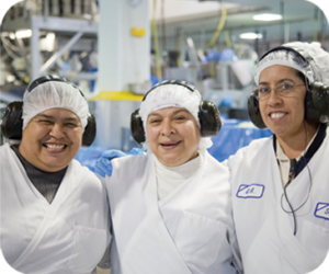 Whole Peeled, Pre-sliced and Diced Onions from Gills Onions