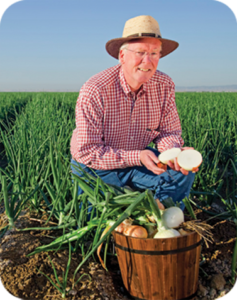 Discover and Learn More About Gills Onions